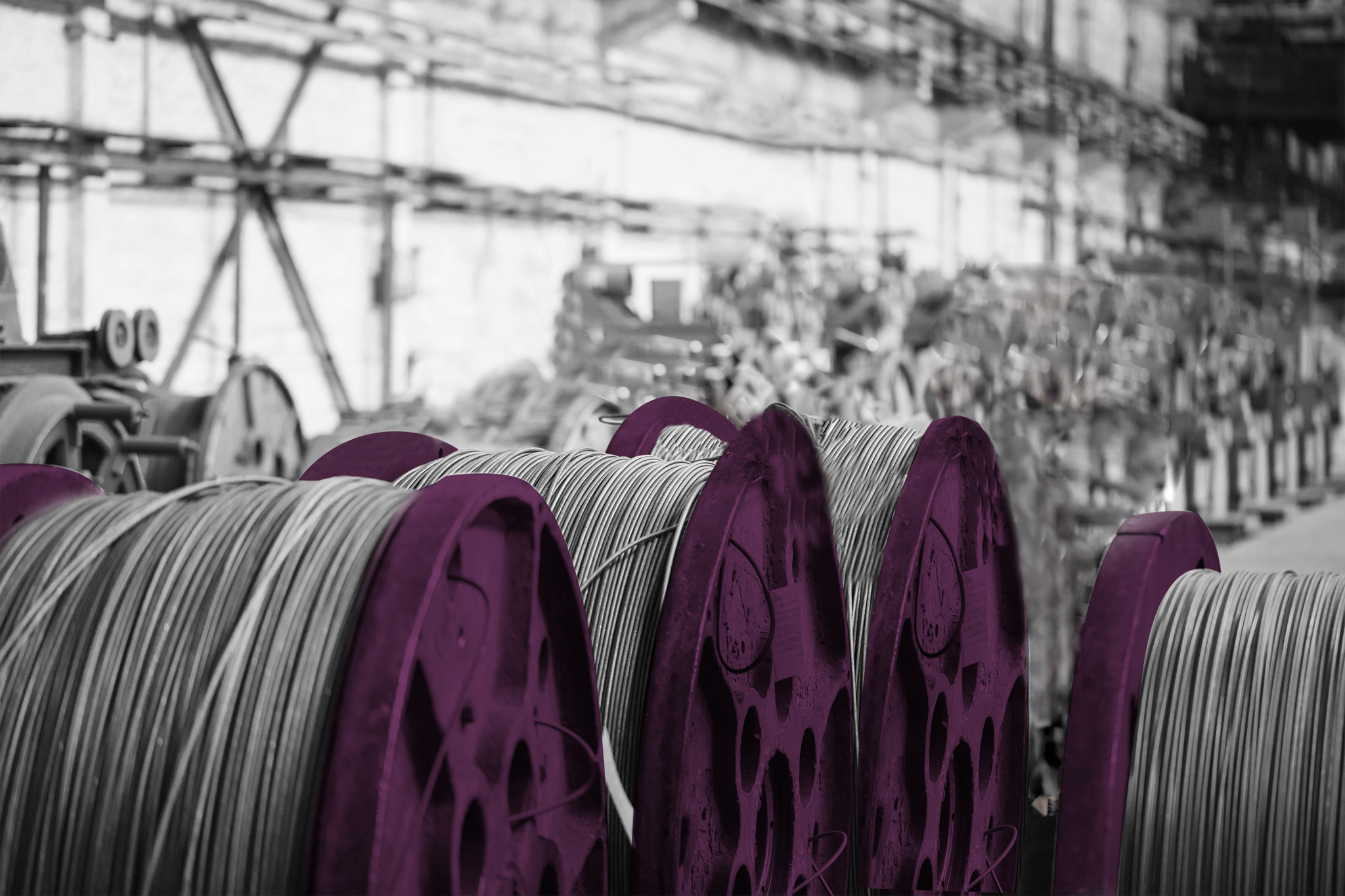 Shipper Reibus Logistics